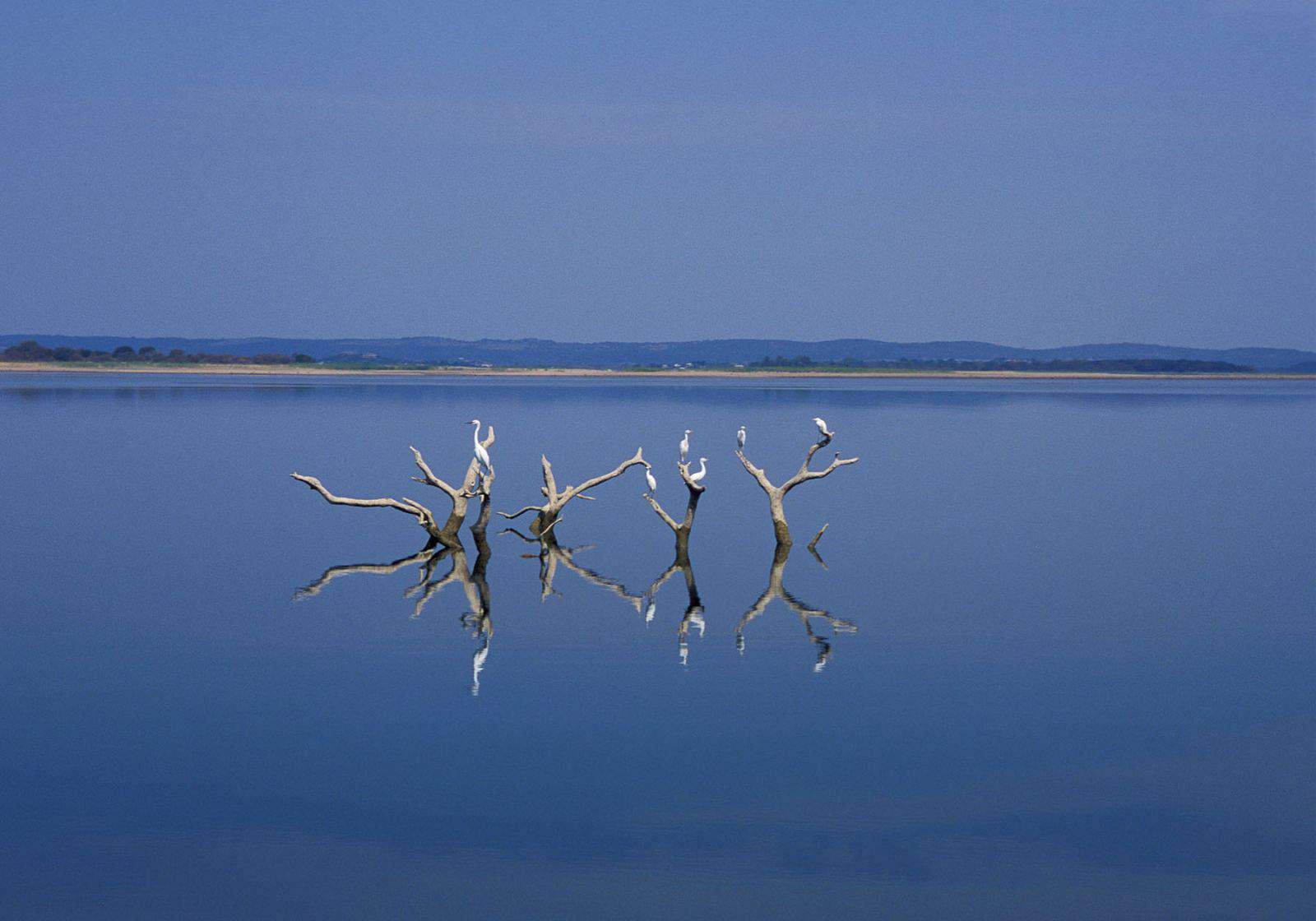Unlock Nature’s Beauty at Lake LBJ in Sep 2025 - OurFamilyWorld.com