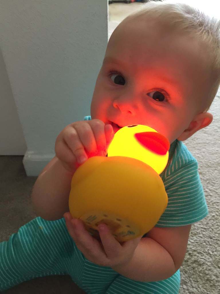 Meet Edwin the Duck: The Smartest Rubber Ducky on the Planet! in Jun ...