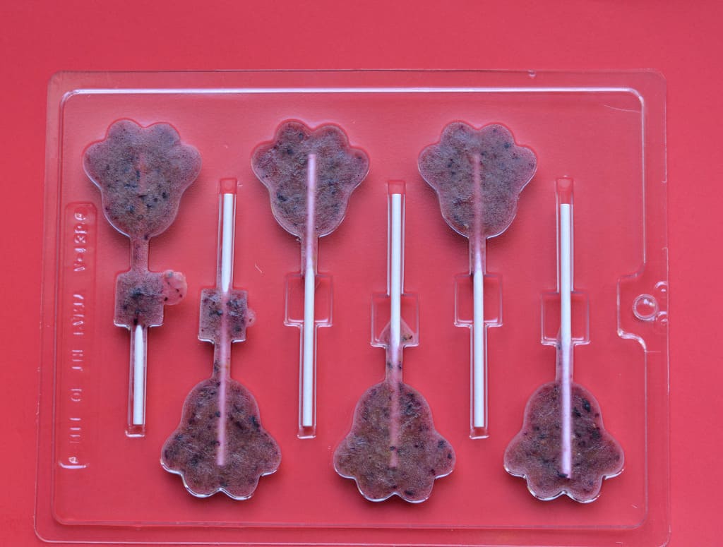 Zootopia Inspired Recipe: Blueberry Paw-sicles in Apr 2025 ...